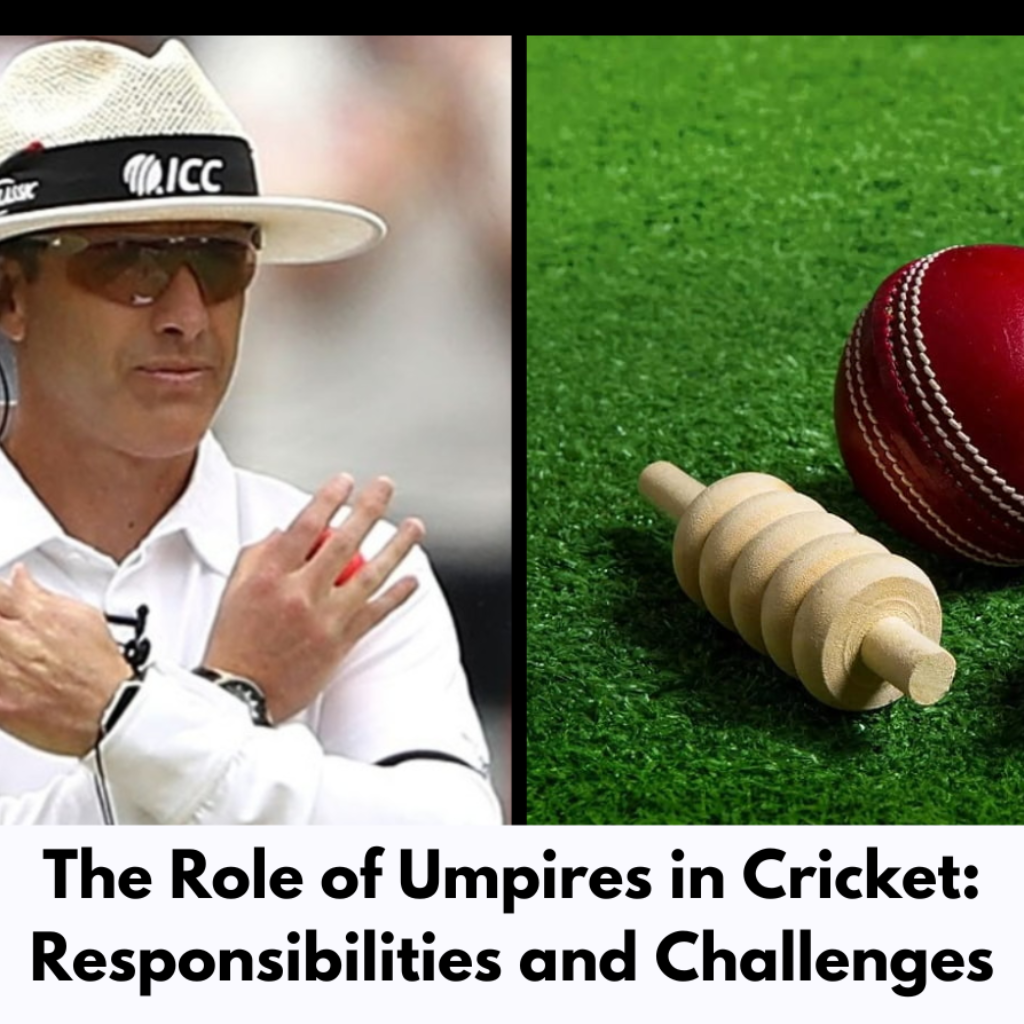 Cricket Ball Types/Standards tand ICC-Approved Balls for Champions ...
