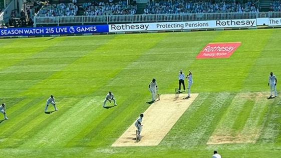 Masterclass in Fielding Positions In Cricket : Roles, Tactics & Top ...